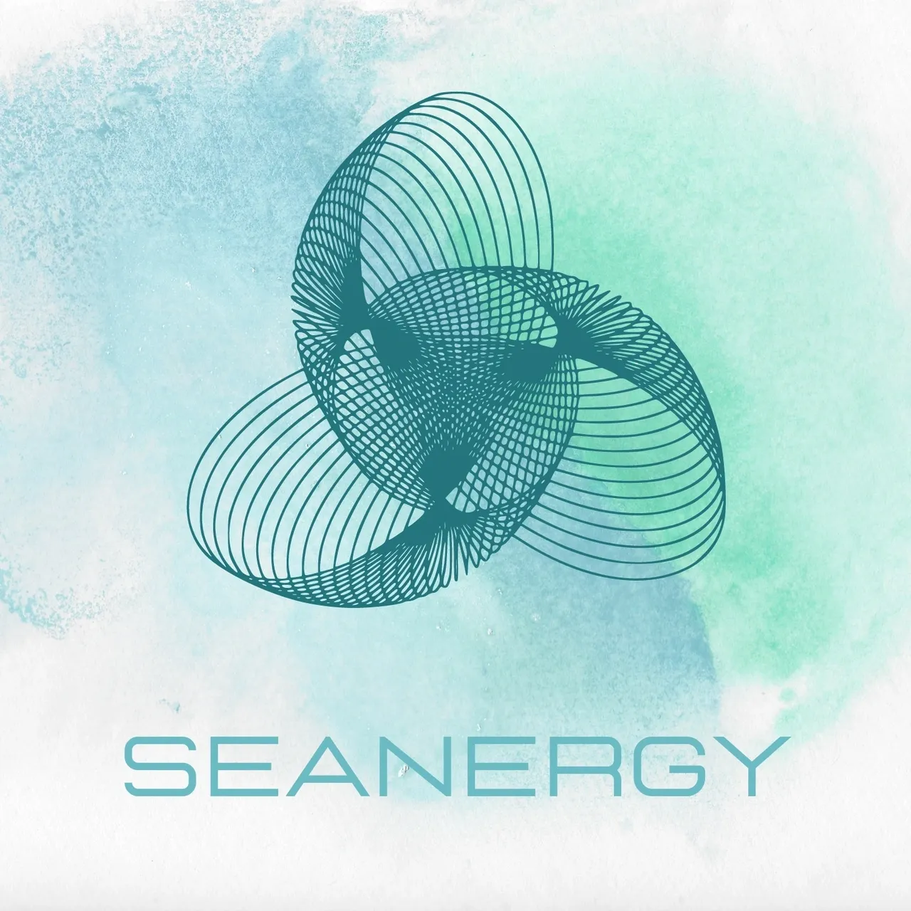 SEANERGY, our new friend in energy transition – Transit Web